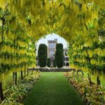 Larnach Castle and Gardens Admission Ticket - FAQ