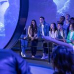 Las Vegas: Flyover in Las Vegas Experience Ticket - The Itinerary and Highlights Breakdown