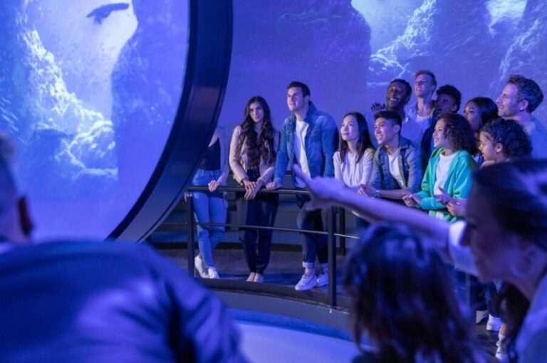 Las Vegas: Flyover in Las Vegas Experience Ticket - The Itinerary and Highlights Breakdown