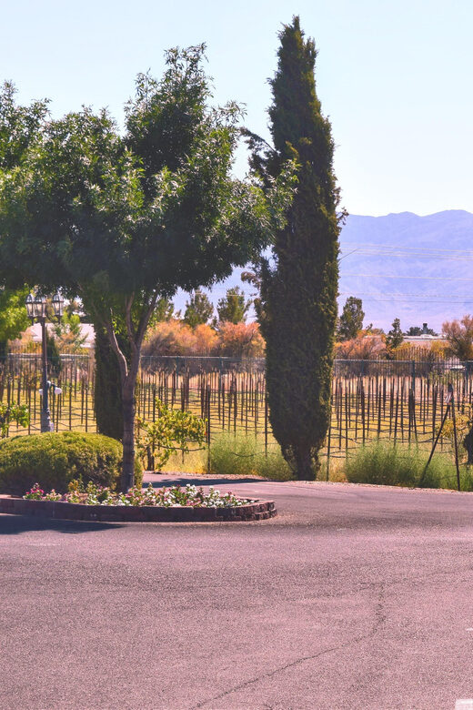 Las Vegas / Pahrump Wine Tasting Tour and snacks - Deep Dive into the Itinerary