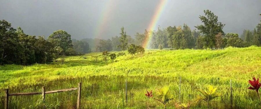 Laupahoehoe: Farm Animal Sanctuary Private Tour - The Animals and Their Stories