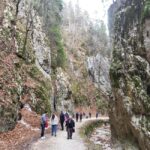 Legendary Transylvania - best version - A Glimpse into Dracula’s Roots