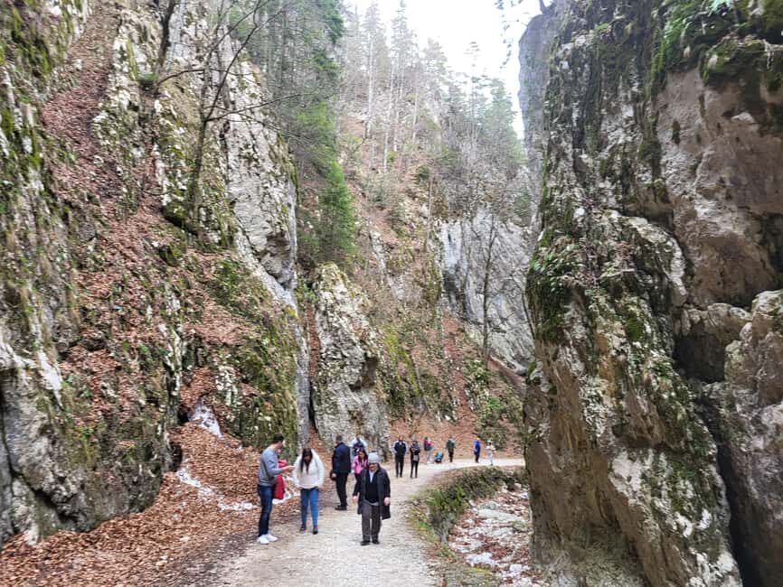 Legendary Transylvania - best version - A Glimpse into Dracula’s Roots