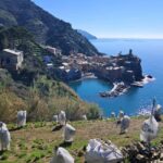 Lemon tour with limoncino and wine tasting in Vernazza (Cinque Terre) - The Itinerary: What You Can Expect on This Tour