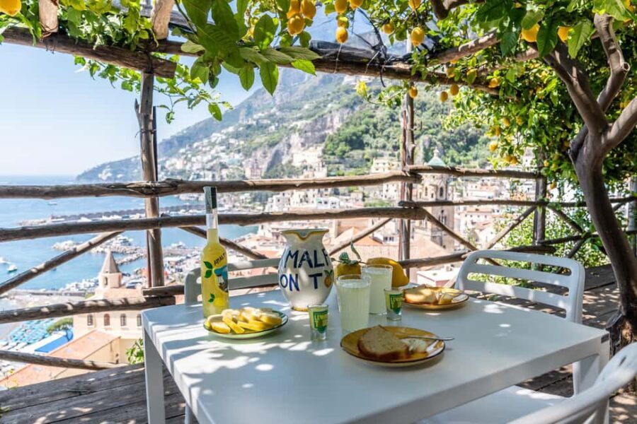 Lemons & Breathtaking Views: Amalfi Monumental Garden Tour - The Tasting Experience: A Flavorful Finish