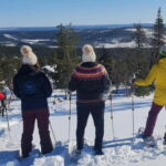 Levi: Evening Snowshoe Walk Under Northern Sky - An In-Depth Look at the Experience