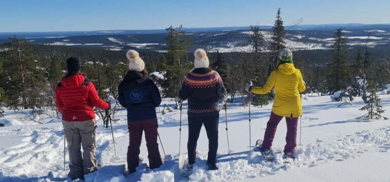 Levi: Evening Snowshoe Walk Under Northern Sky - An In-Depth Look at the Experience