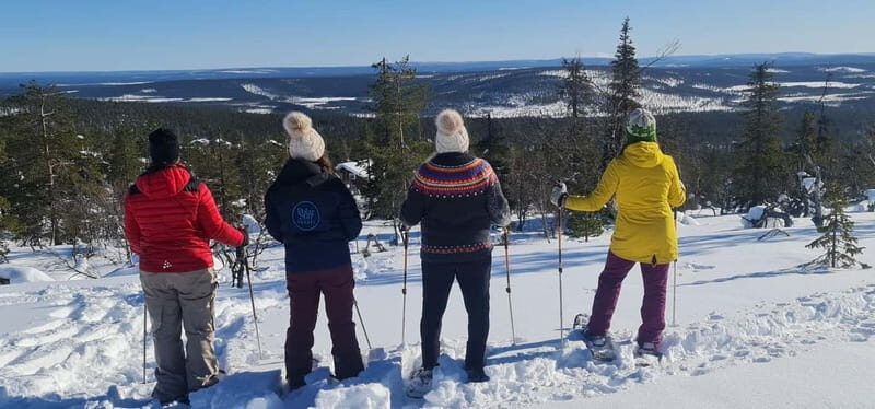 Levi: Evening Snowshoe Walk Under Northern Sky - An In-Depth Look at the Experience