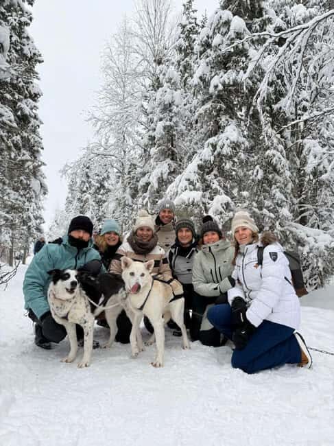 Levi: Meet Reindeer and Visit Husky Kennel - Detailed Breakdown of the Experience