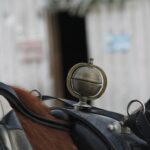 Levi: One Horse Open Sleigh Ride - What to Expect During the Ride