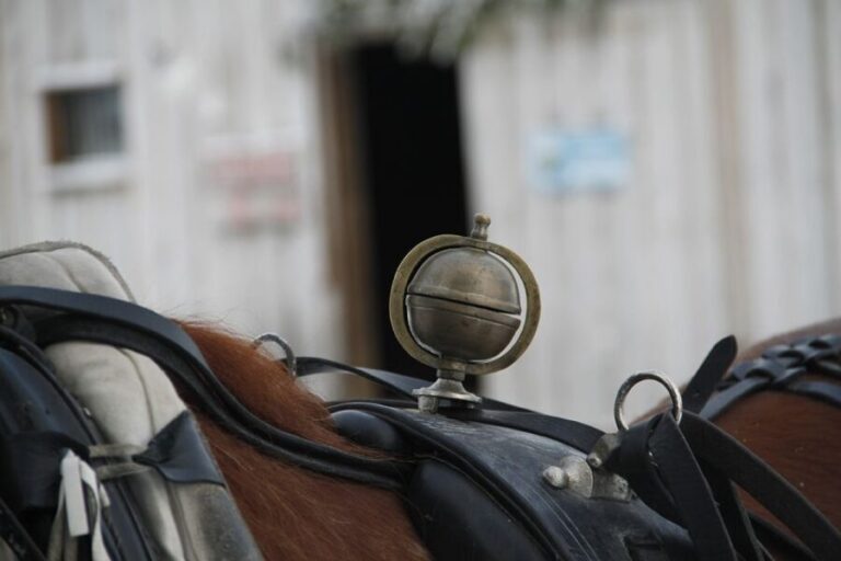 Levi: One Horse Open Sleigh Ride - What to Expect During the Ride