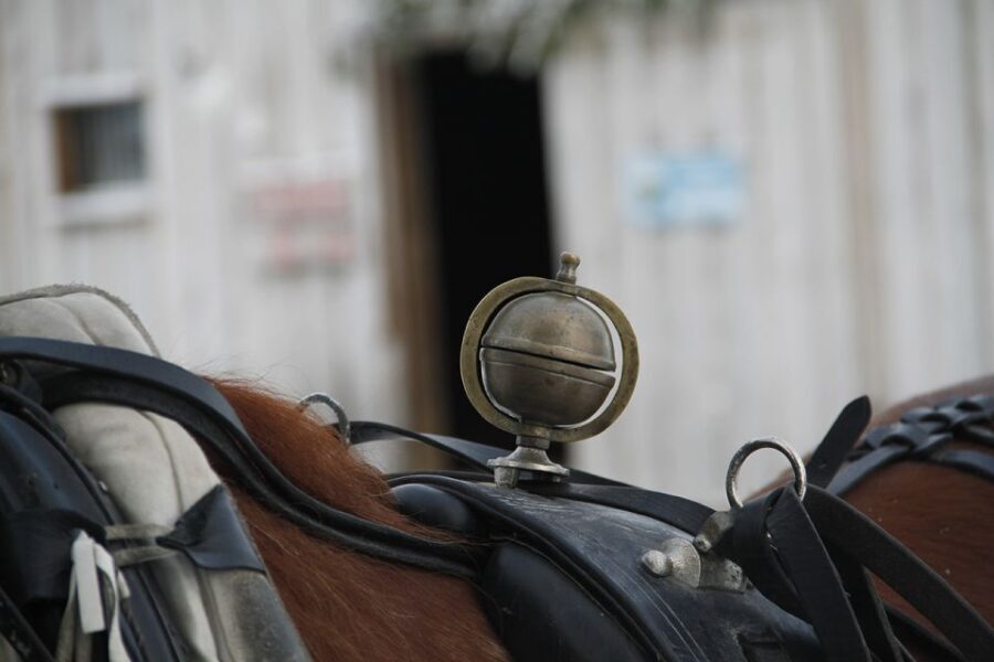 Levi: One Horse Open Sleigh Ride - What to Expect During the Ride