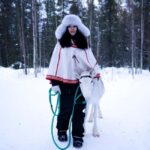 Levi: Winter Wilderness Husky & Reindeer Safari Combo Tour - Is This Tour Worth It?