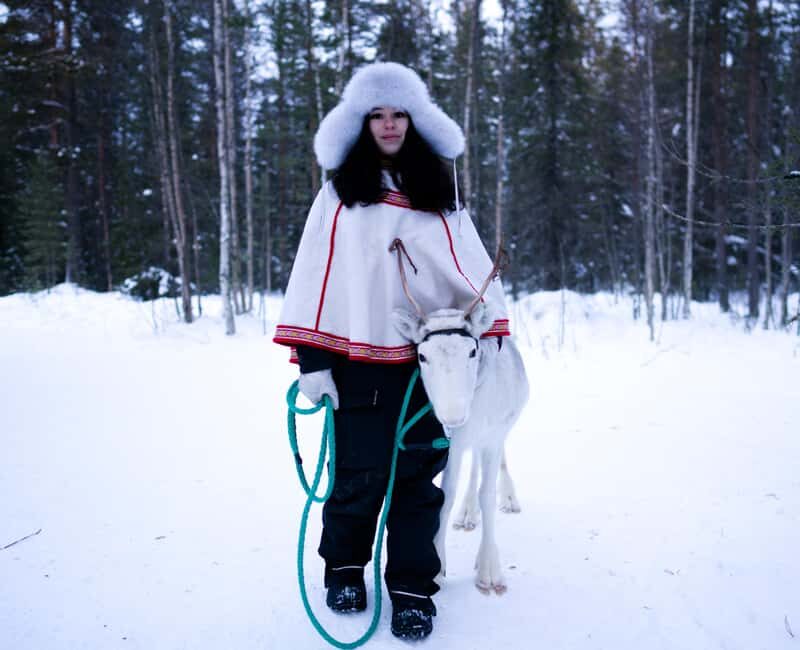 Levi: Winter Wilderness Husky & Reindeer Safari Combo Tour - Is This Tour Worth It?
