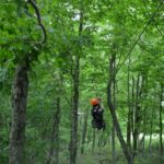 Lexington: Fully Guided Zipline Canopy Tour - What’s Included and What to Expect