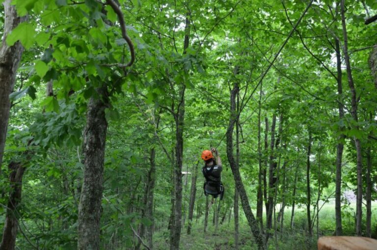 Lexington: Fully Guided Zipline Canopy Tour - What’s Included and What to Expect