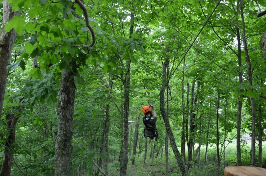 Lexington: Fully Guided Zipline Canopy Tour - What’s Included and What to Expect