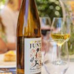 Lisbon: Carcavelos Vineyard Tour and Wine Tasting - The Itinerary: What to Expect