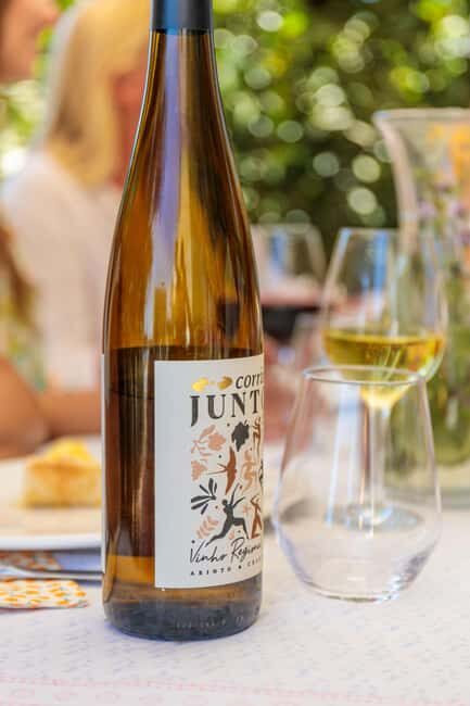 Lisbon: Carcavelos Vineyard Tour and Wine Tasting - The Itinerary: What to Expect
