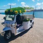 Lisbon: Historic City Tour by Electric Tuk Tuk - Who Will Love This Tour?