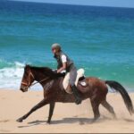 Lisbon: Horse Riding at the Beach with Lunch - The Value and Who It’s Perfect For