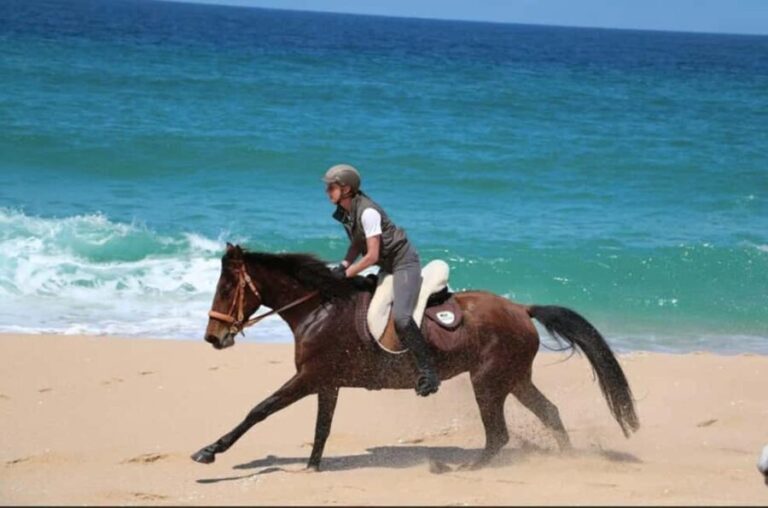 Lisbon: Horse Riding at the Beach with Lunch - The Value and Who It’s Perfect For