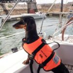 Lisbon: Sailing trip on the Tagus River - Who Will Enjoy This Tour?