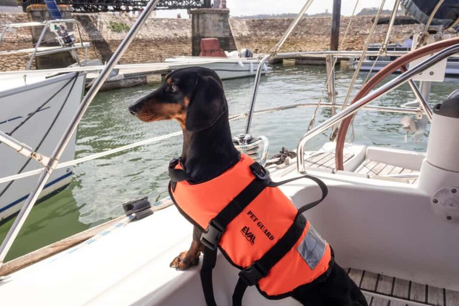 Lisbon: Sailing trip on the Tagus River - Who Will Enjoy This Tour?