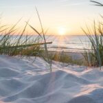 Lisse: Self-Drive Electric Car Dune and Beach Audio Tour - Practical Details & Logistics