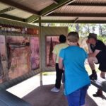 Litchfield and Jumping Crocodiles Full Day Trip from Darwin - Transportation, Group Size, and Value