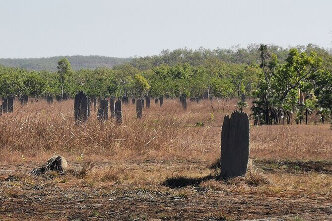 Litchfield National Park Day Tour & Berry Springs, Max 11 Guests - Authentic Traveller Experiences & Feedback