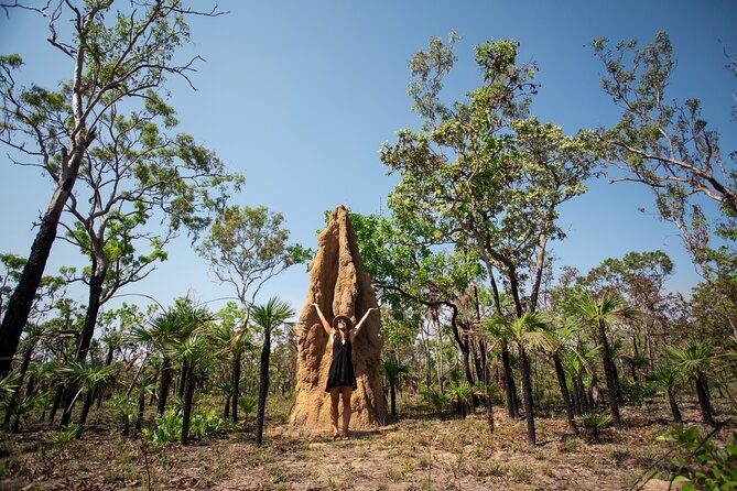 Litchfield National Park Tour with Wetlands or Crocodile Cruise - Who Should Consider This Tour?