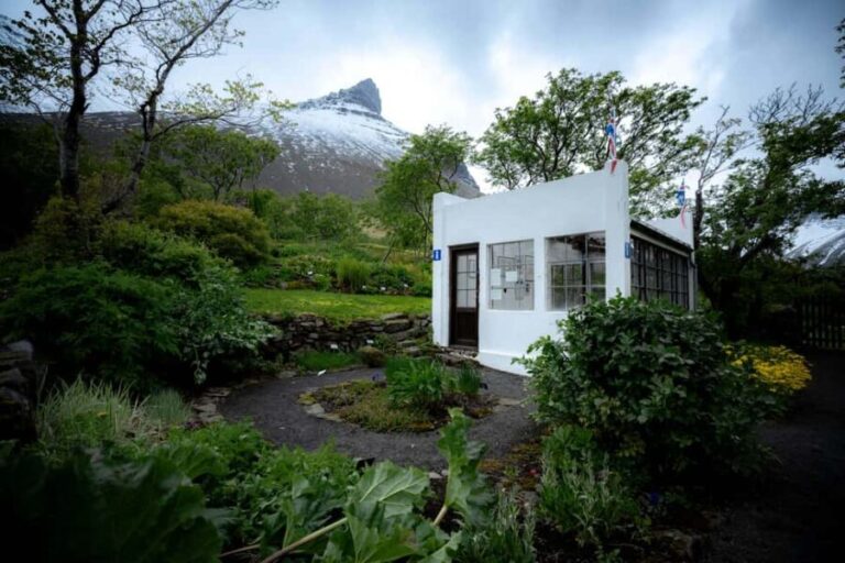 Local Guide Private Tour from Ísafjörður-Flexible Itinerary - The Majestic Dynjandi Waterfall