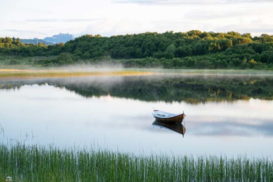 Lofoten: Half-Day Guided Tour with local guide Photo Stops - Why This Tour Works for Travelers
