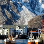 Lofoten Svolvær: Lunch cruise to Skrova & Henningsvær - Who Will Love This Tour?
