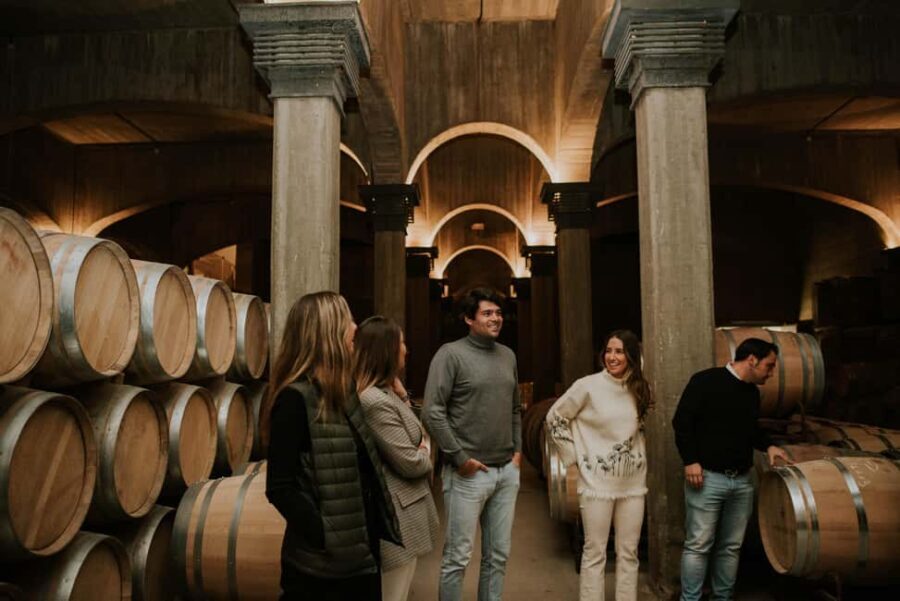 Logroño: Guided visit with tasting of 3 wines and appetizer at Viña Ijalba. - An In-Depth Look at the Viña Ijalba Tour