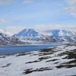 Longyearbyen: Snowshoeing Adventure to Svalbard Glacier - Wildlife and Nature Highlights