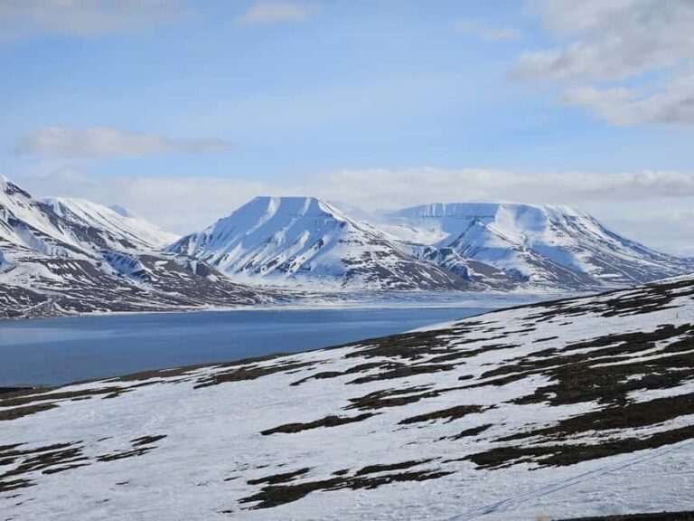 Longyearbyen: Snowshoeing Adventure to Svalbard Glacier - Wildlife and Nature Highlights
