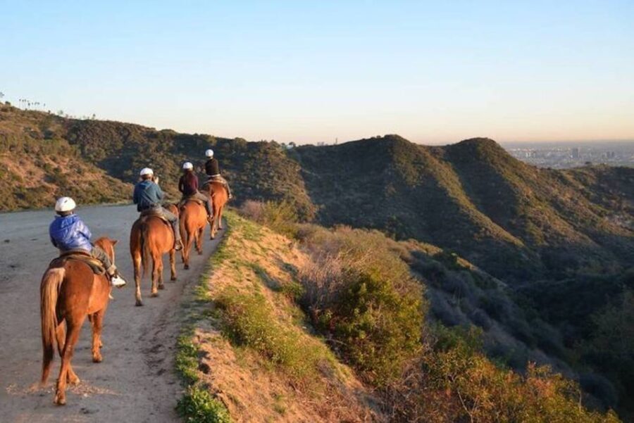 Los Angeles: 2-Hour Hollywood Trail Horseback Riding Tour - Setting the Scene: What It’s Like to Ride Through Griffith Park