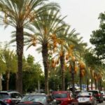 Los Angeles: 3-Hour Private Driving Tour w/ Local Guide - The Value and Practicality