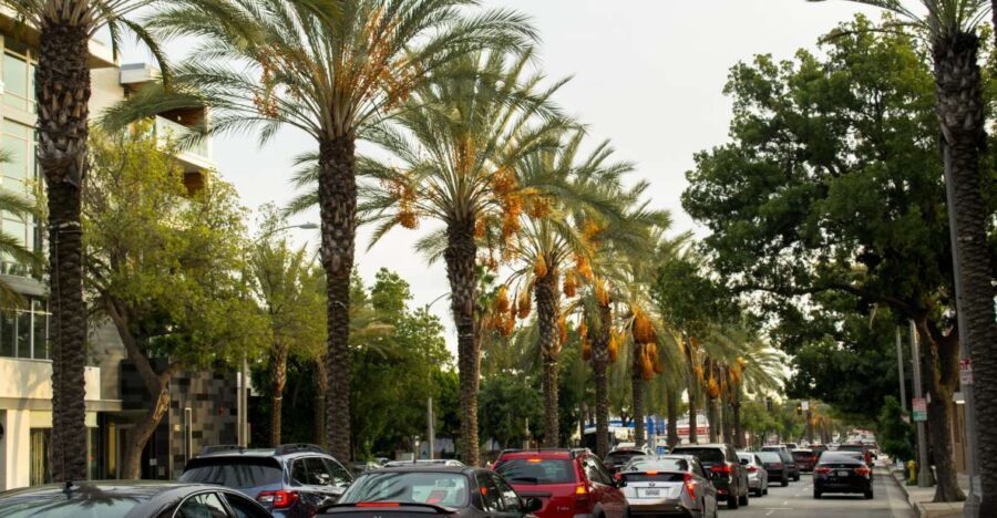 Los Angeles: 3-Hour Private Driving Tour w/ Local Guide - The Value and Practicality