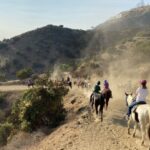 Los Angeles: Mulholland Trail Horseback Riding Tour - An In-Depth Look at the Mulholland Trail Horseback Riding Tour