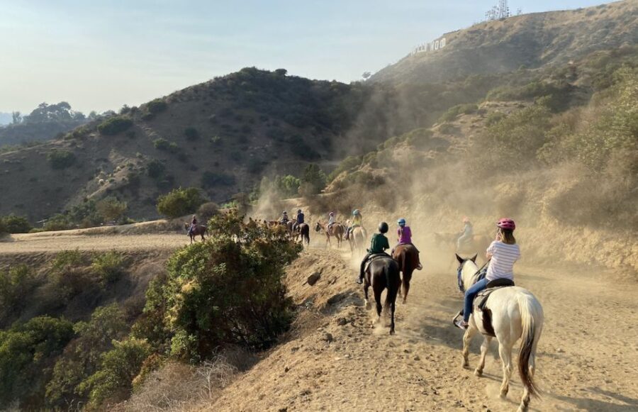 Los Angeles: Mulholland Trail Horseback Riding Tour - An In-Depth Look at the Mulholland Trail Horseback Riding Tour