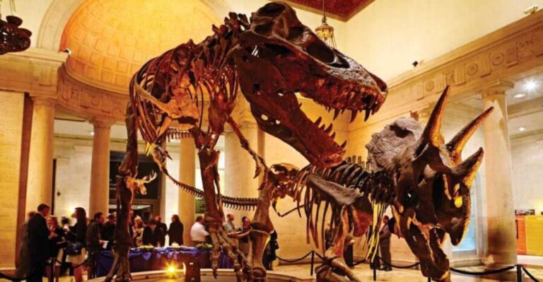 Los Angeles: Natural History Museum of LA Entry Ticket - Final Thoughts: Who Will Love This Museum?