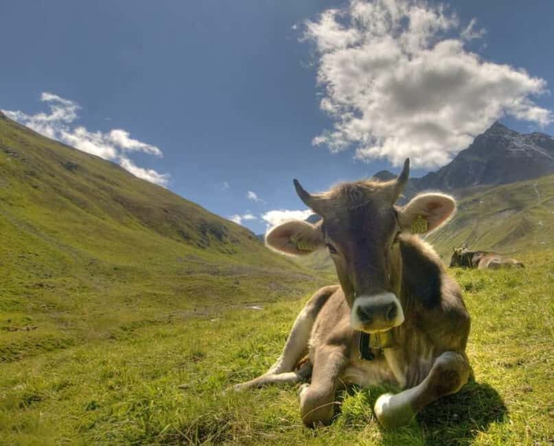Lucerne: Private day Trip to St. Moritz - What Makes It Stand Out?