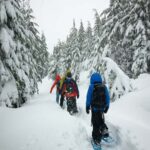 Lucerne: Snowshoe Hiking Adventure to Glaubenberg Langis - Experience Quality and Value
