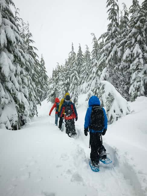 Lucerne: Snowshoe Hiking Adventure to Glaubenberg Langis - Experience Quality and Value