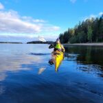 Luleå: Archipelago Kayaking Tour with Guide - Authentic Experiences and Real Travelers’ Feedback