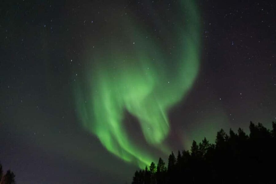 Lulea: Northern Lights Hunt by Car with Transfer - The Quality of the Guide and the Experience