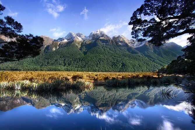 Luxury Milford Sound Coach and Scenic Cruise - Experiencing Milford Sound: The Cruise